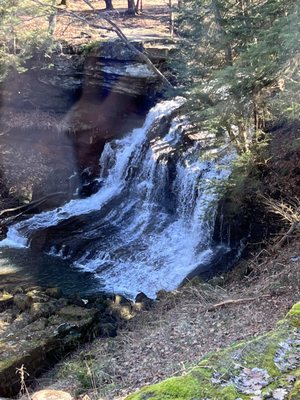 COBBLEHAUS AT THE FALLS - 20 Photos & 10 Reviews - 1015 Leesburg ...