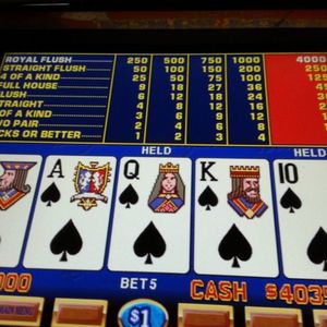 FUN HOG RANCH - 54 Photos & 114 Reviews - 495 E Twain Ave, Las Vegas ...