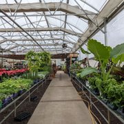 RIVER STREET FLOWERLAND - 119 Photos - Nurseries & Gardening - 1300 ...