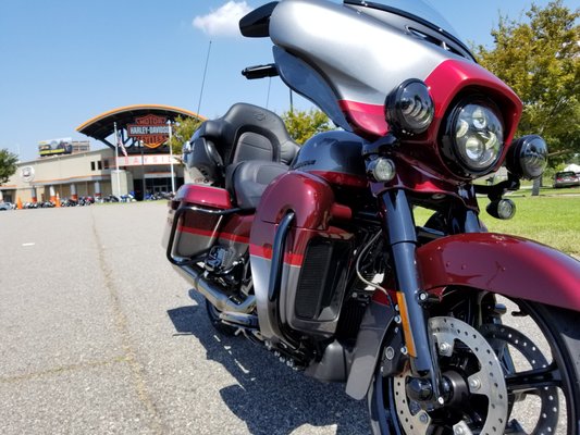 BAYSIDE HARLEY-DAVIDSON - 135 Photos & 39 Reviews - Motorcycle Dealers ...