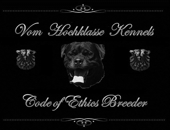 VOM HOCHKLASSE ROTTWEILER BREEDER - Updated October 2025 - 24280 Angie ...