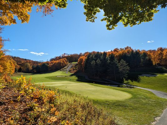 TREETOPS RESORT - Updated March 2025 - 124 Photos & 95 Reviews - 3962 ...