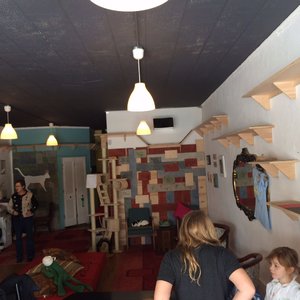 CATFE LOUNGE - Updated October 2024 - 45 Photos & 33 Reviews - 686 ...