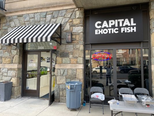 CAPITAL EXOTIC FISH - Updated October 2025 - 3404 Idaho Ave NW ...