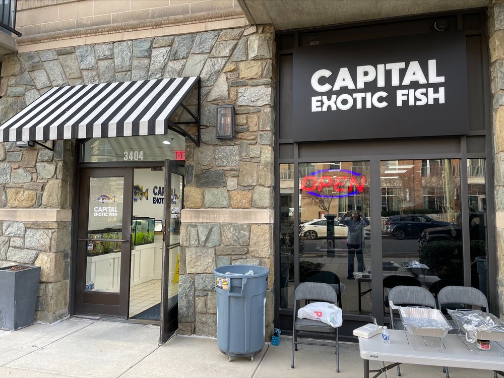 CAPITAL EXOTIC FISH - Updated October 2025 - 3404 Idaho Ave NW ...