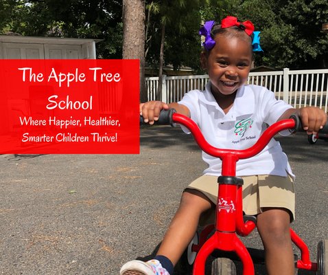 THE APPLE TREE SCHOOL - Updated December 2025 - 21 Photos - 17127 Red ...
