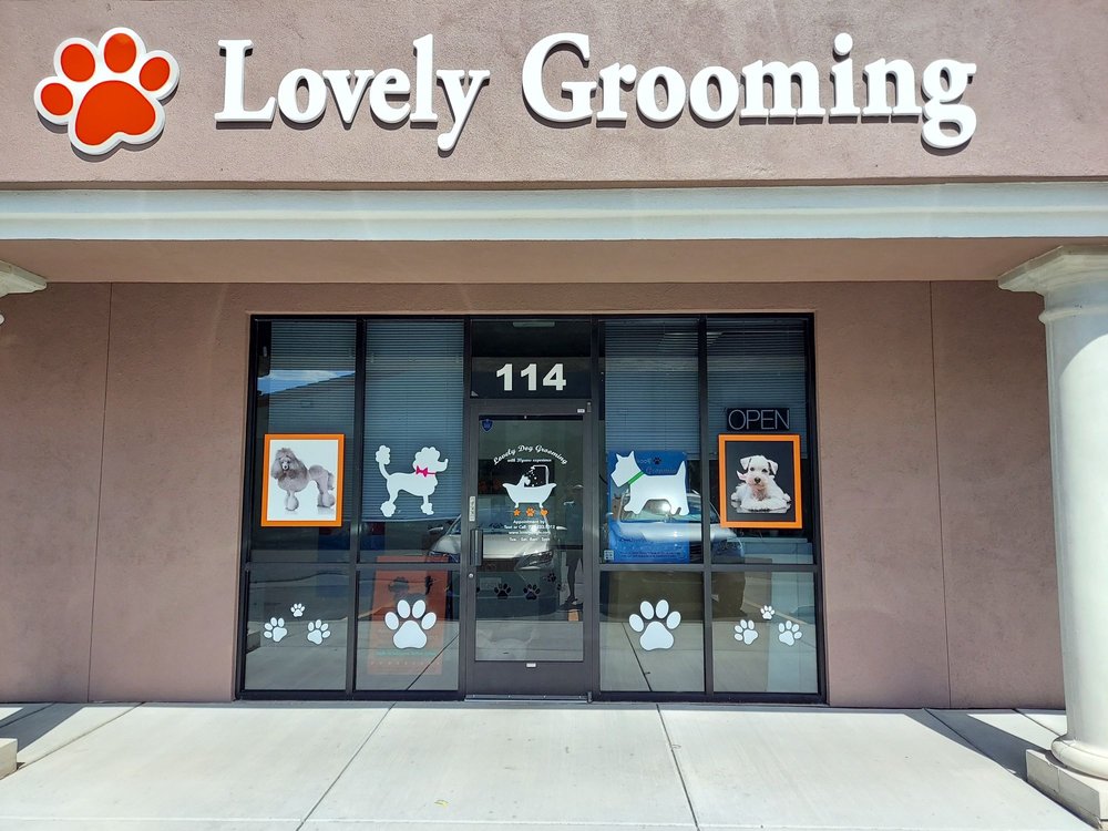 APOLLO SHINE - Las Vegas, Nevada - Updated October 2024 - Request a ...