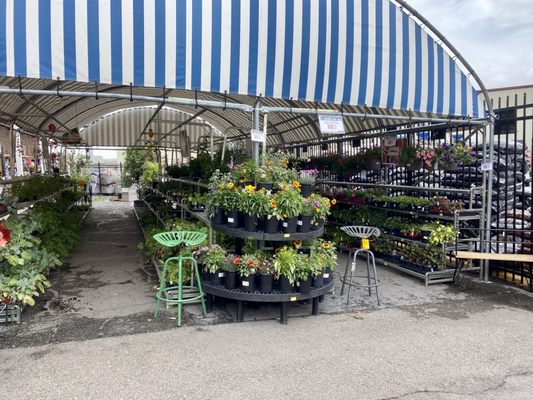 IFA COUNTRY STORE - SALT LAKE CITY - Updated August 2025 - 11 Photos ...