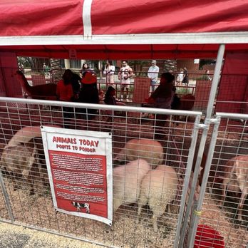 FIESTA HERMOSA - Updated January 2026 - 373 Photos & 129 Reviews ...