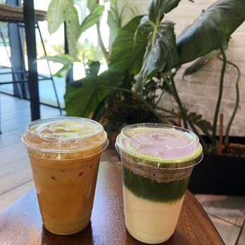 CAFE MOLLIE - Updated September 2024 - 382 Photos & 211 Reviews - 6031 ...