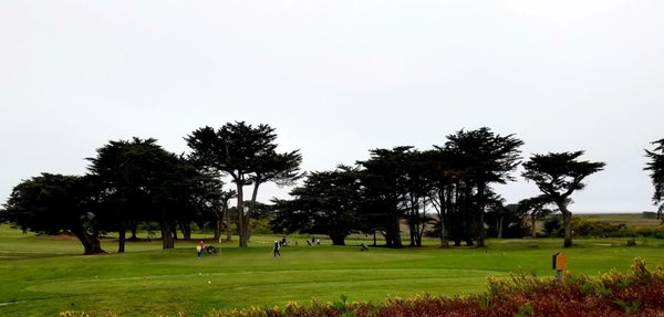 SHARP PARK RESTAURANT - 163 Photos & 85 Reviews - Hwy 1 & Sharp Park Rd ...