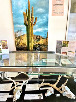 WHITE TANK LIBRARY - Updated December 2025 - 104 Photos & 43 Reviews ...