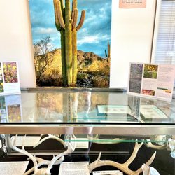 WHITE TANK LIBRARY - 101 Photos & 35 Reviews - 20304 W White Tank ...