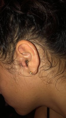 Hectors piercing store