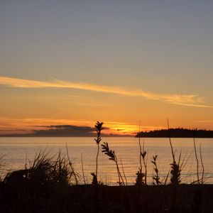 GRUFF BREWING - 80 Photos & 74 Reviews - 104 E Maple St, Bellingham ...