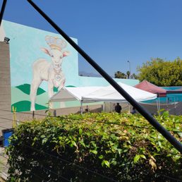 PIE LIFE PIZZA - Updated April 2025 - 426 Photos & 495 Reviews - 691 S ...