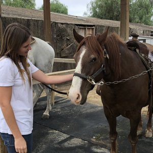 SUSIE Q RANCH - 174 Photos & 134 Reviews - Horseback Riding - 28330 ...