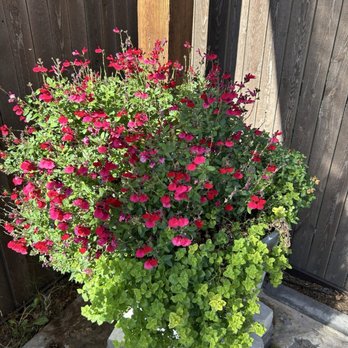 THE FLOWER RANCH - Updated December 2025 - 37 Photos & 32 Reviews - 901 ...