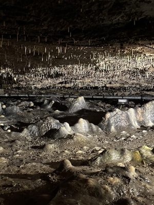 PERRY’S CAVE - Updated January 2026 - 115 Photos & 36 Reviews - 979 ...