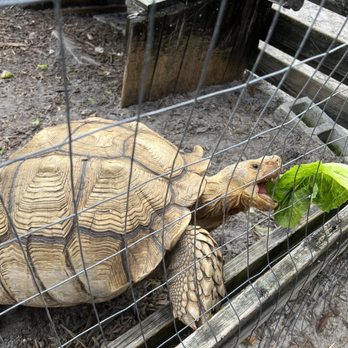 MARANDO FARMS & RANCH - Updated July 2024 - 280 Photos & 101 Reviews ...