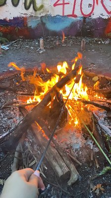 FORT ARMISTEAD PARK - 15 Photos & 12 Reviews - 4000 Hawkins Point Rd ...