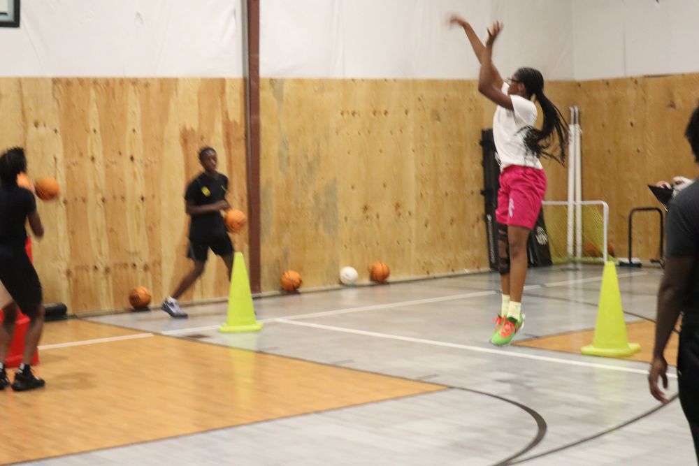 NEXT LEVEL TRAINING ACADEMY - Updated December 2025 - 16 Photos - 3839 ...