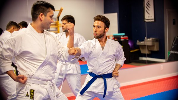 SHOWAKAI KARATE DO USA - Updated July 2025 - 42 Photos - 13716 SW 88th ...