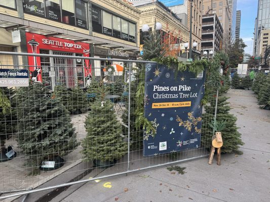 SEATTLE CHRISTMAS TREE - Updated December 2025 - 13 Photos - 101 Pike ...