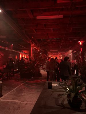 IN THE LOWEST FERNS - Updated January 2025 - 14 Photos - Kansas City ...