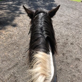 RED BUFFALO RANCH - Updated December 2025 - 69 Photos & 62 Reviews ...