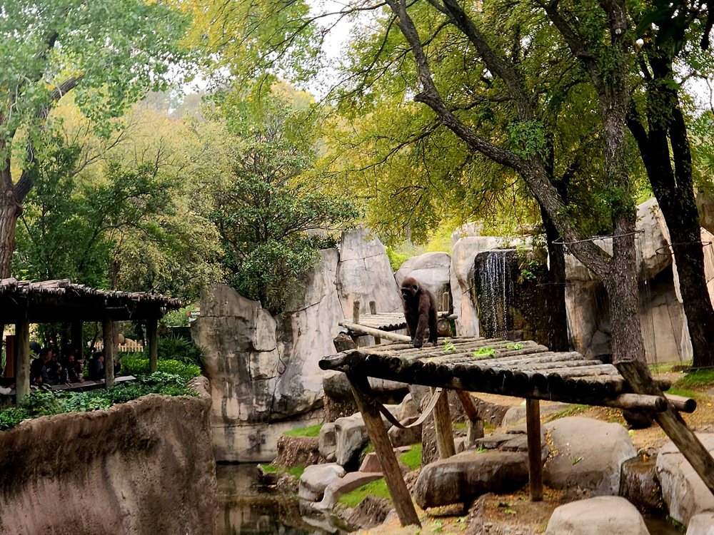 FORT WORTH ZOO - Updated October 2024 - 1463 Photos & 516 Reviews ...