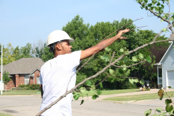 WICHITA TREE SERVICE - Updated May 2026 - 50 Photos & 19 Reviews - 6111 ...