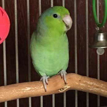 MAGNOLIA BIRD FARM - Updated October 2024 - 137 Photos & 182 Reviews ...