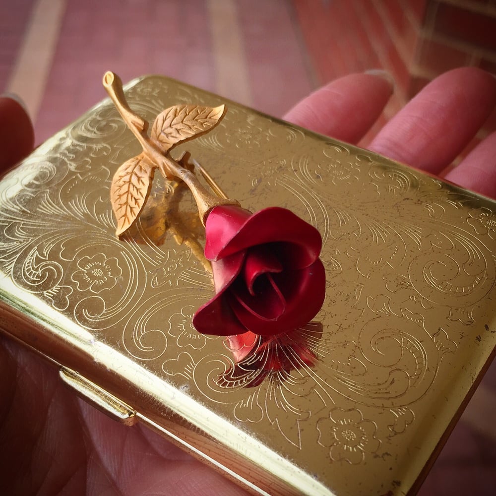 CANNINGTON EXHIBITION CENTRE & SHOWGROUNDS - Updated October 2024 ...