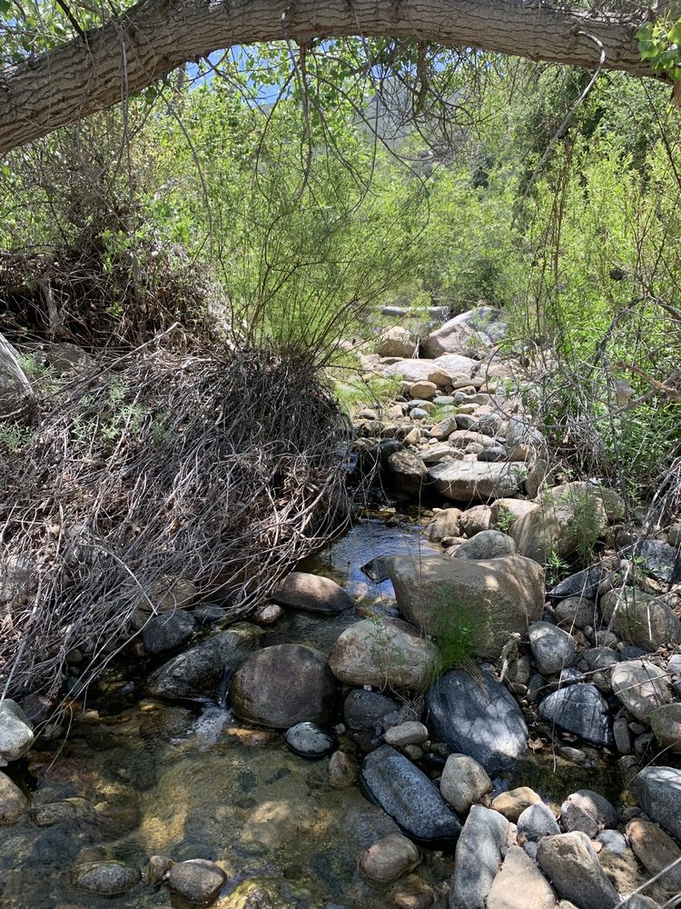 DRIPPING SPRINGS CAMPGROUND - 65 Photos & 45 Reviews - 38441-39323 Hwy ...