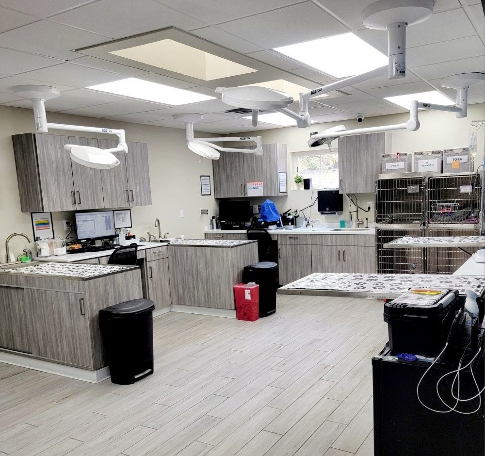 CANYON RIDGE ANIMAL HOSPITAL - Updated August 2025 - 16 Photos - 601 ...