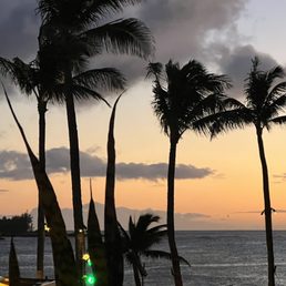 ALAIA - Updated December 2025 - 329 Photos & 115 Reviews - 57-091 ...