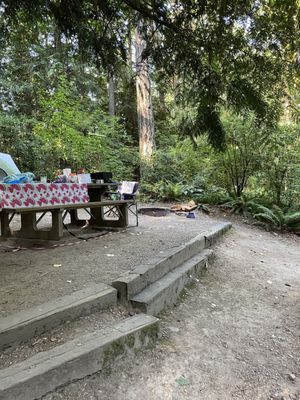 ILLAHEE STATE PARK - 56 Photos & 18 Reviews - 3540 NE Sylvan Way ...