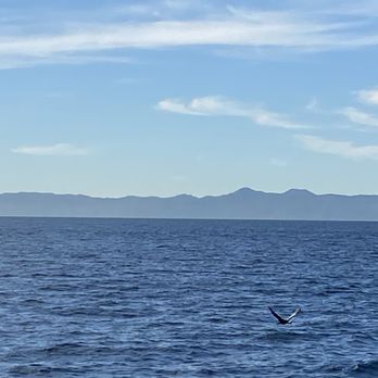 PIERPOINT LANDING - Updated June 2024 - 204 Photos & 209 Reviews - 200 ...