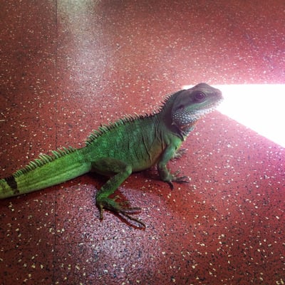 HIGHLAND SAM J. RACADIO LIBRARY & ENVIRONMENTAL LEARNING CENTER ...