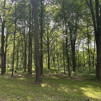 BIG RAIL BREWING - Updated October 2025 - 85 Photos & 21 Reviews - 2158 ...