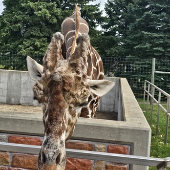 GOEBBERT’S FARM - Updated October 2025 - 331 Photos - 191 Reviews ...