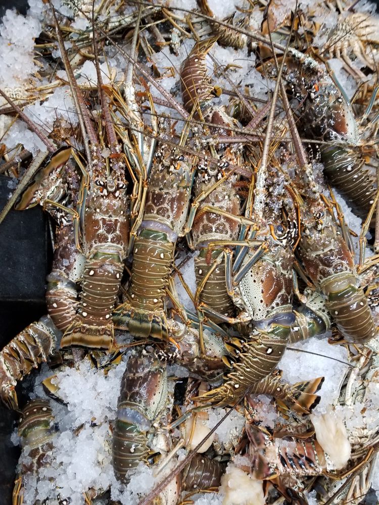 HOMESTEAD SEAFOOD AND MEATS MARKET - Updated September 2024 - 15 Photos ...