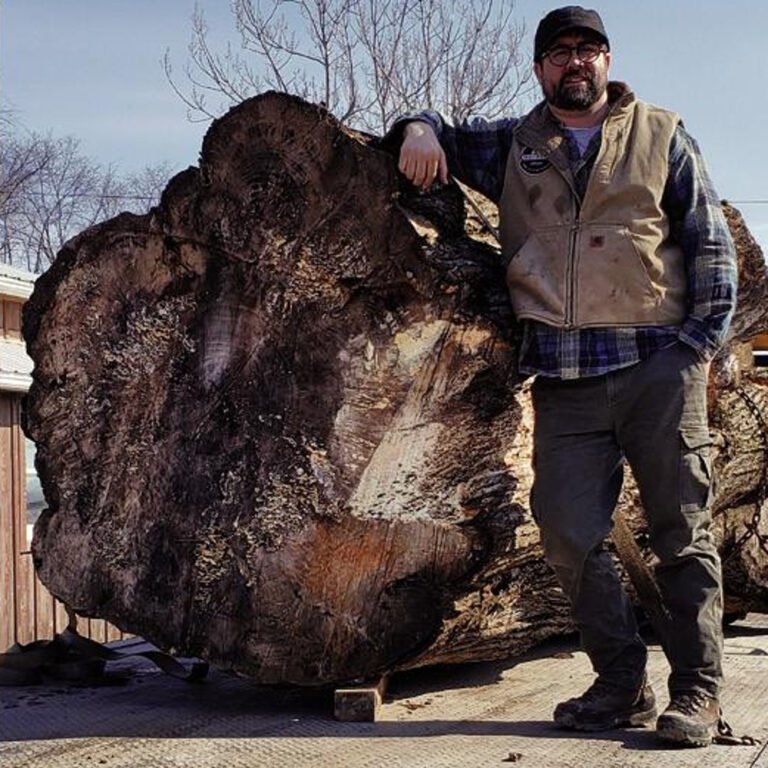 WOODRICH WEST - Updated January 2026 - Request a Quote - 81385 Gallatin ...