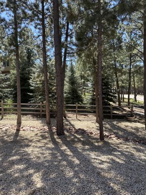 HEIDRICH’S COLORADO TREE FARM NURSERY - Updated December 2025 - 27 ...