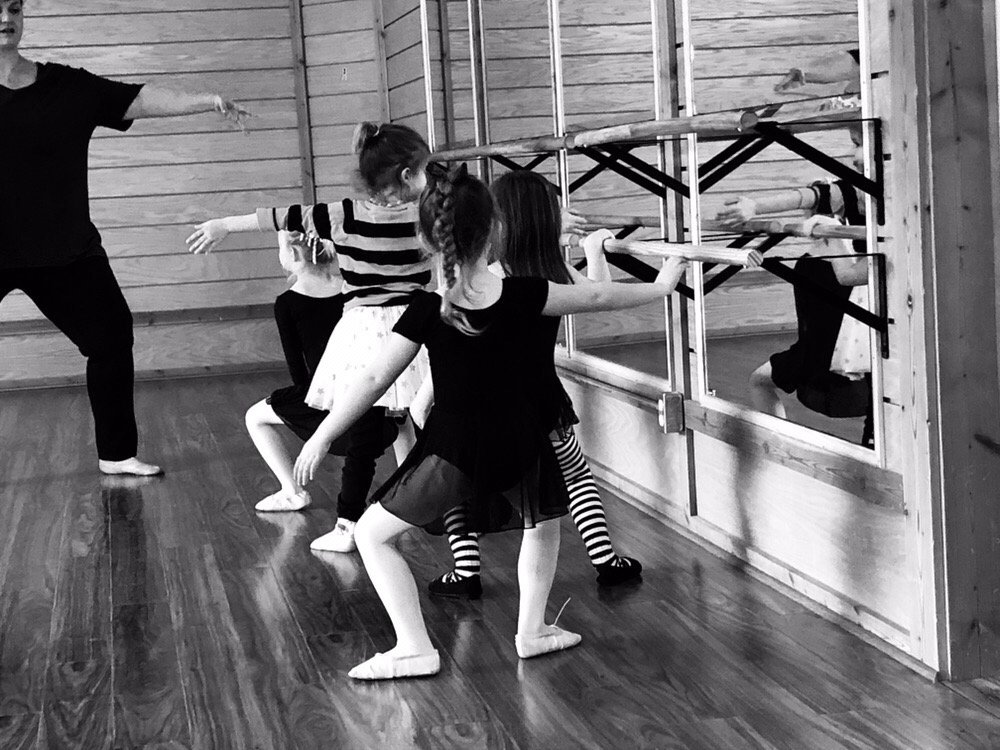 TRINITY DANCE AND FITNESS STUDIOS - 10 Nugget Ln, Weaverville ...