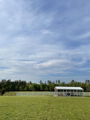 HANOVER VEGETABLE FARM - 26 Photos & 18 Reviews - Fruits & Veggies ...