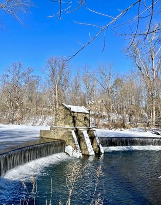 SPEEDWELL PARK - Updated October 2025 - 52 Photos - 288 Speedwell Ave ...