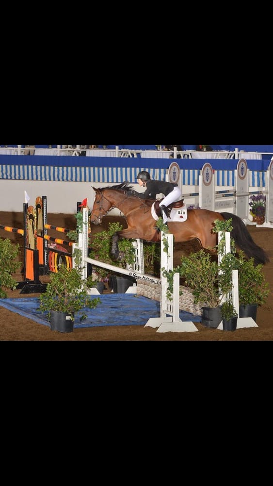 WHITEHORSE FARMS - Updated August 2025 - 23 Photos - 960 Hart Rd ...