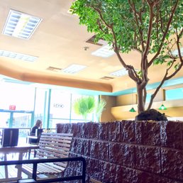 TOKYO EXPRESS - Updated July 2025 - 71 Photos & 125 Reviews - 914 E ...